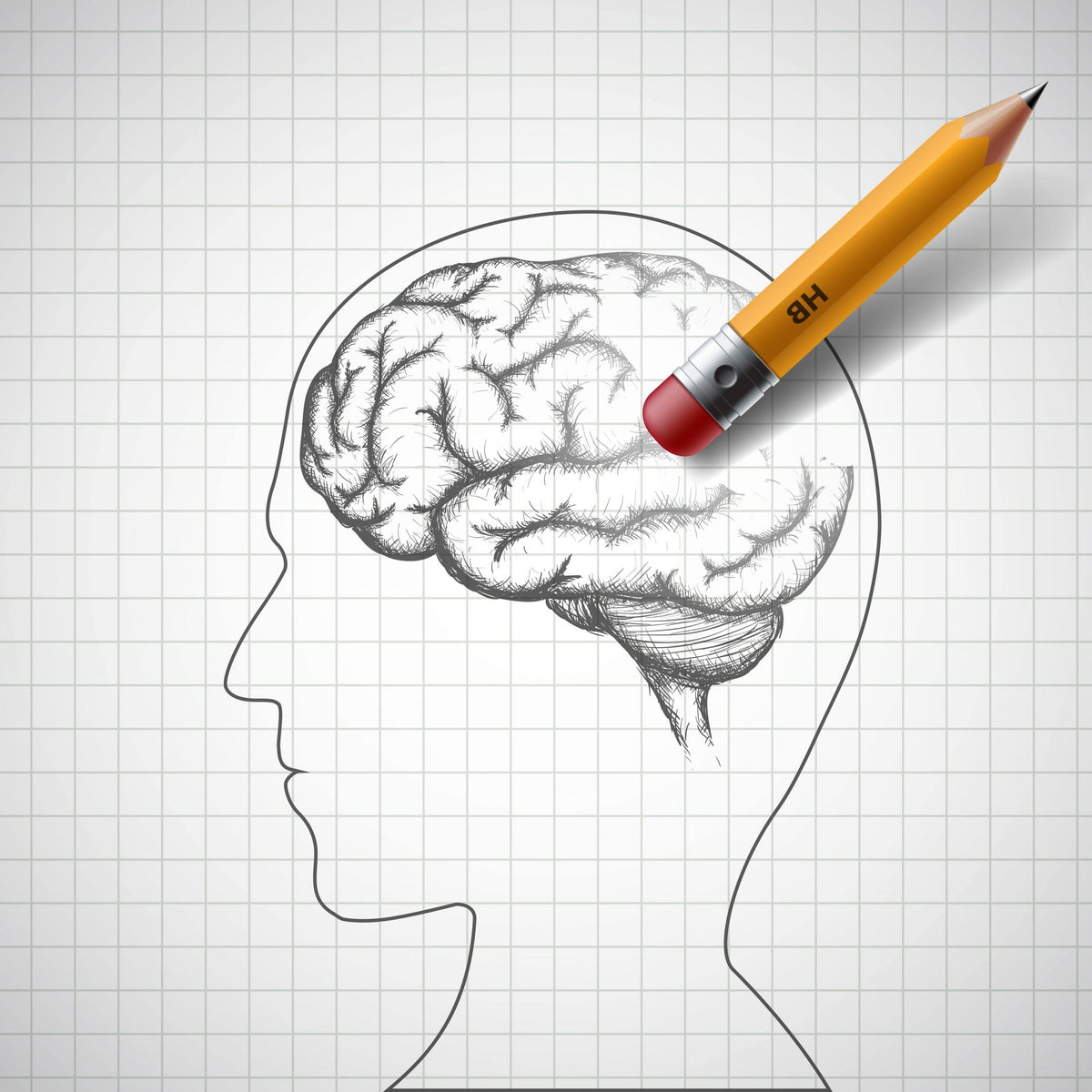 Best Nootropics for Memory – Pure Nootropics