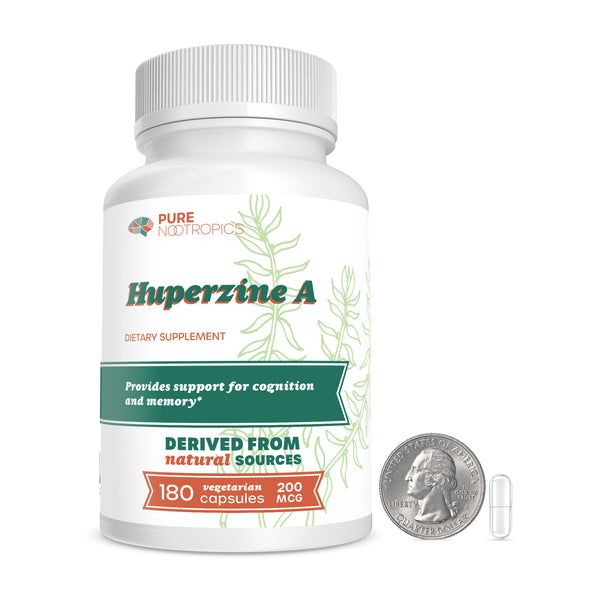 Products – Pure Nootropics
