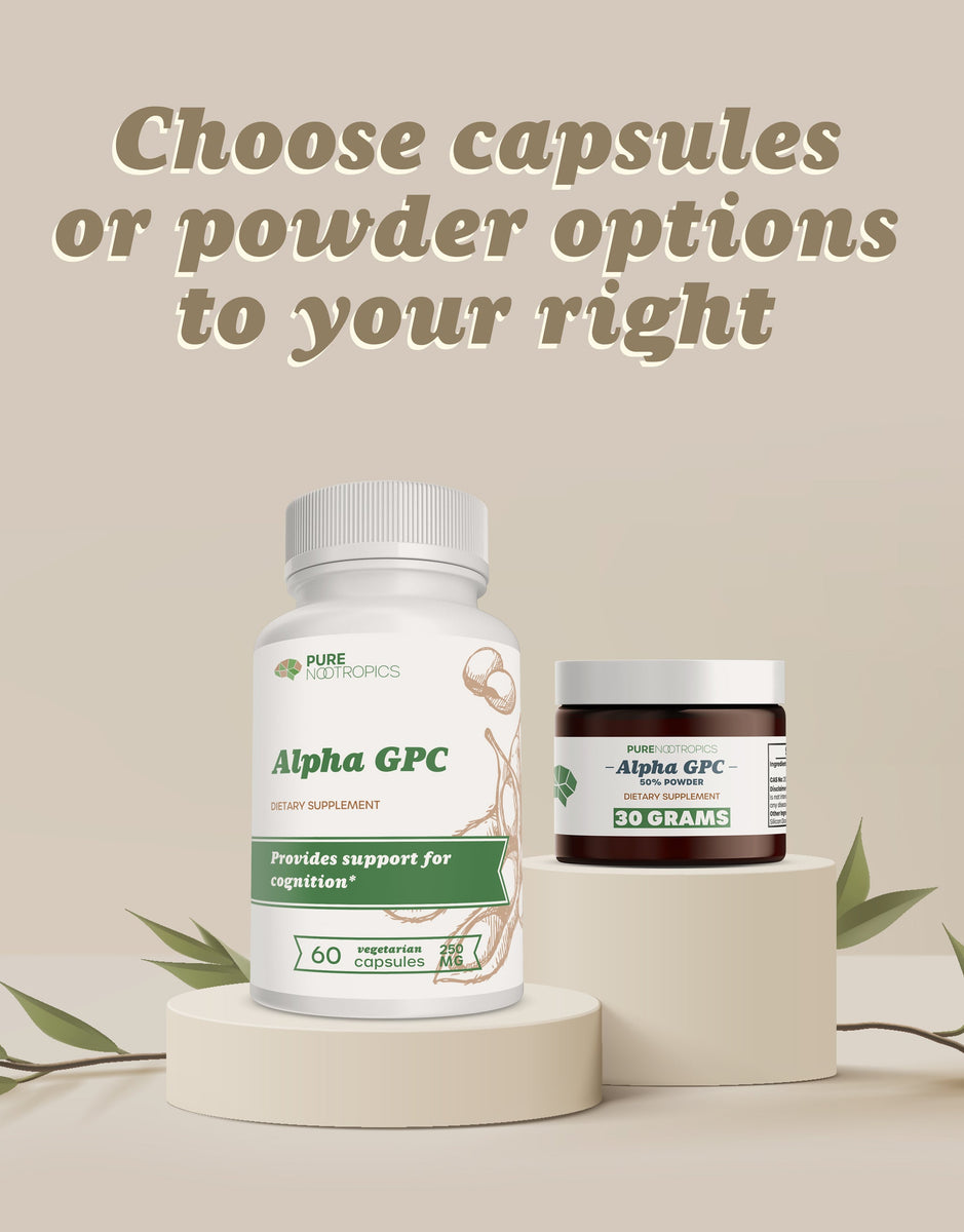 Alpha GPC Capsules & Powder Pure Nootropics