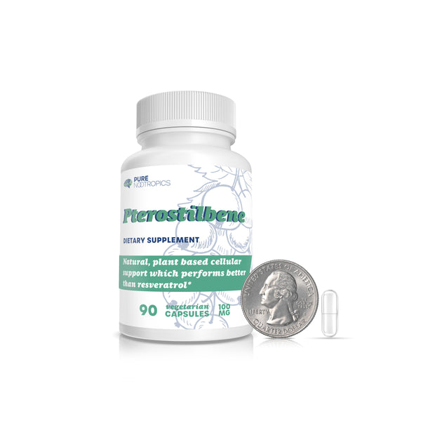 Buy Pterostilbene in Powder or Capsules by Pure Nootropics